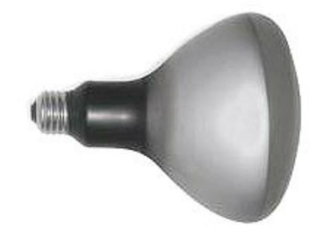 MEDIUM BASE EAL 500W BULB – PJ Gaffers Expendables